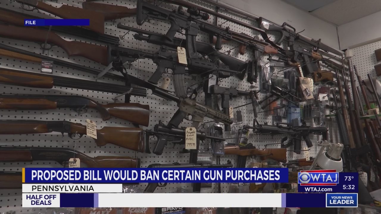 Proposed bill would ban anyone under 21 from buying semi-automatic ...