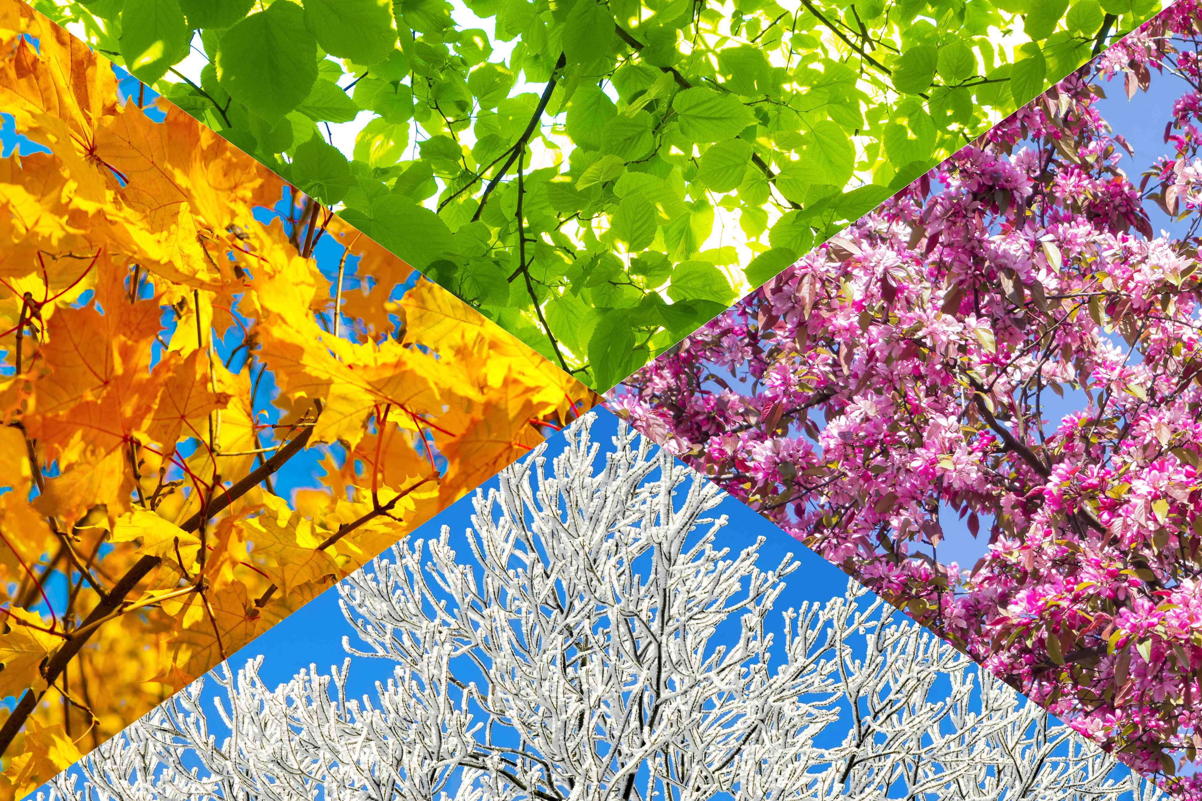 Color Analysis Is Everywhere Right Now—Here’s How to Tell If You’re a ...