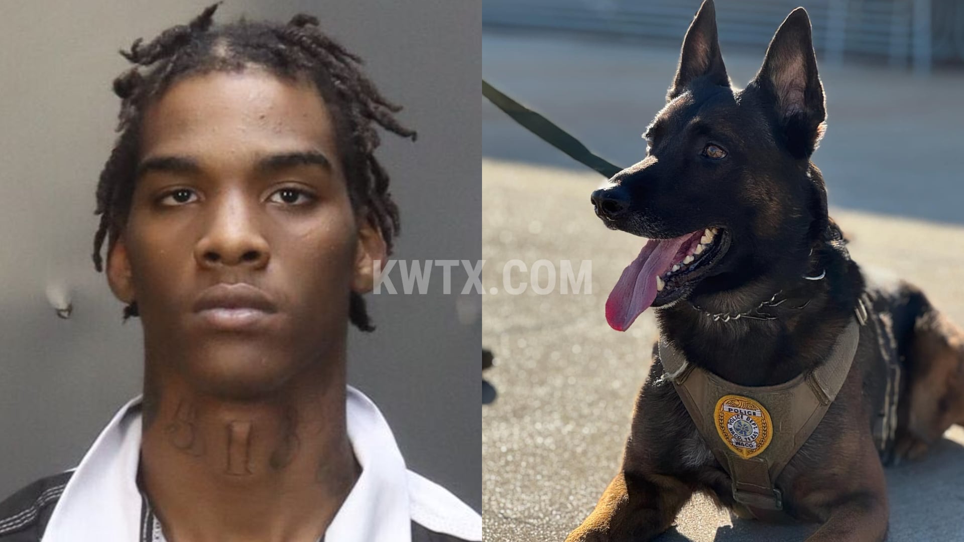 Waco gang member shot K9 officer Andor with a gun equipped with a ...