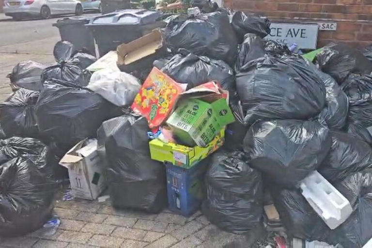 Birmingham a bombsite again as 'city's busiest rat man' shares garbage ...