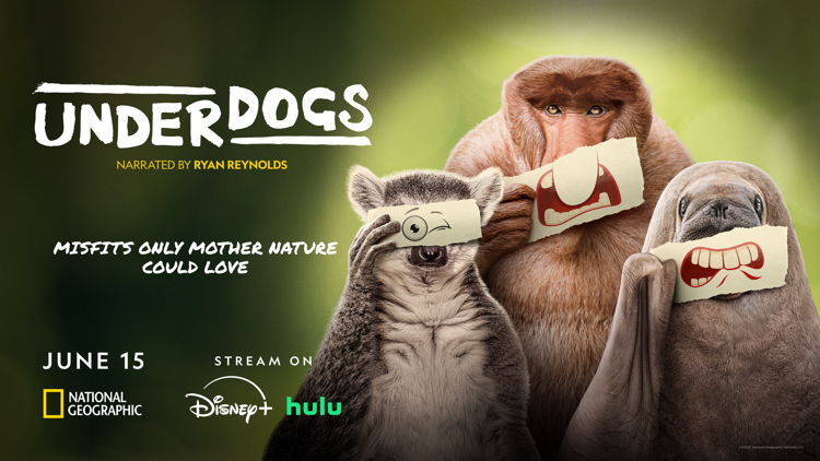 Ryan Reynolds celebrates nature's unsung heroes in "Underdogs"