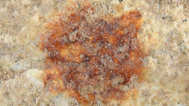 Archaeologists found a strange red mark on rock. Forensic police helped ...
