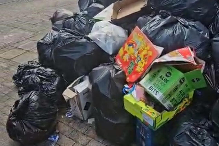 Birmingham a bombsite again as 'city's busiest rat man' shares garbage ...