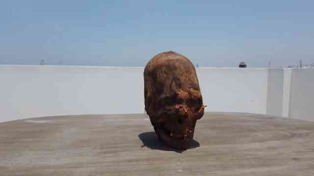 Paracas Peru Elongated Skulls: Evidence They Were Born That Way
