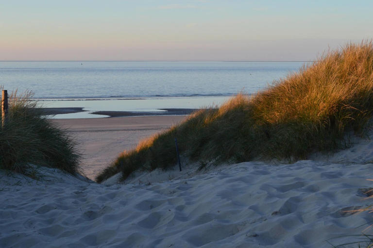 Gewinne niederländischen Inselurlaub auf Terschelling oder Vlieland