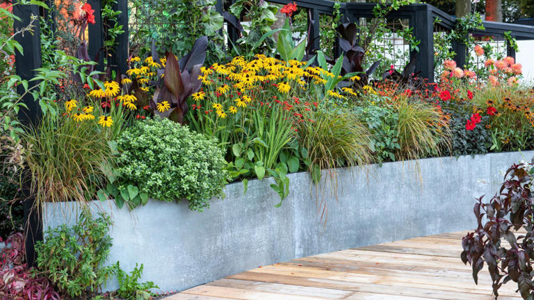 ALDI's newest $15 raised bed planter is even better than their last one ...