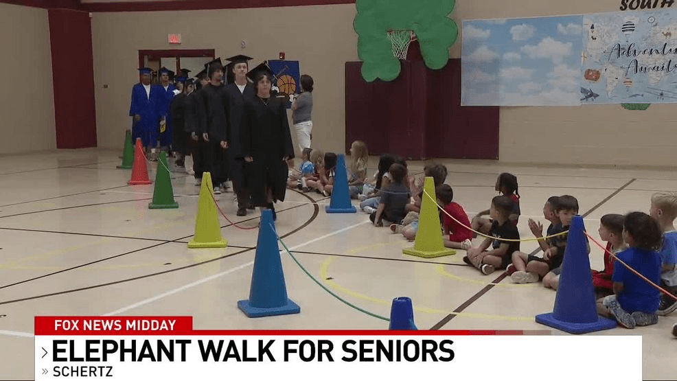 Elephant walk tradition offers seniors a reflective journey before ...