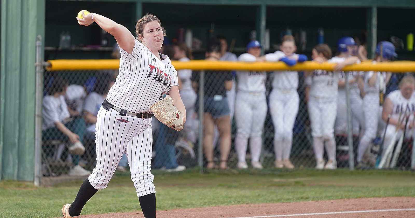 HHS softball, baseball players make All-SCA list