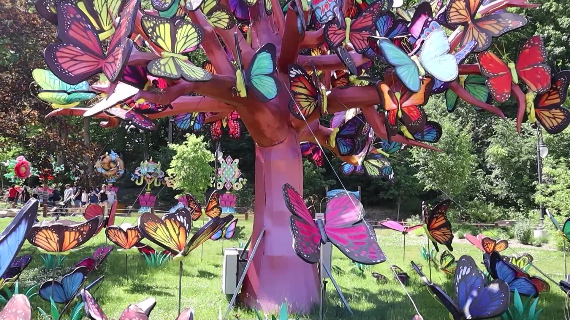 Maranda’s Weekend Fun Guide: May 31-June 1