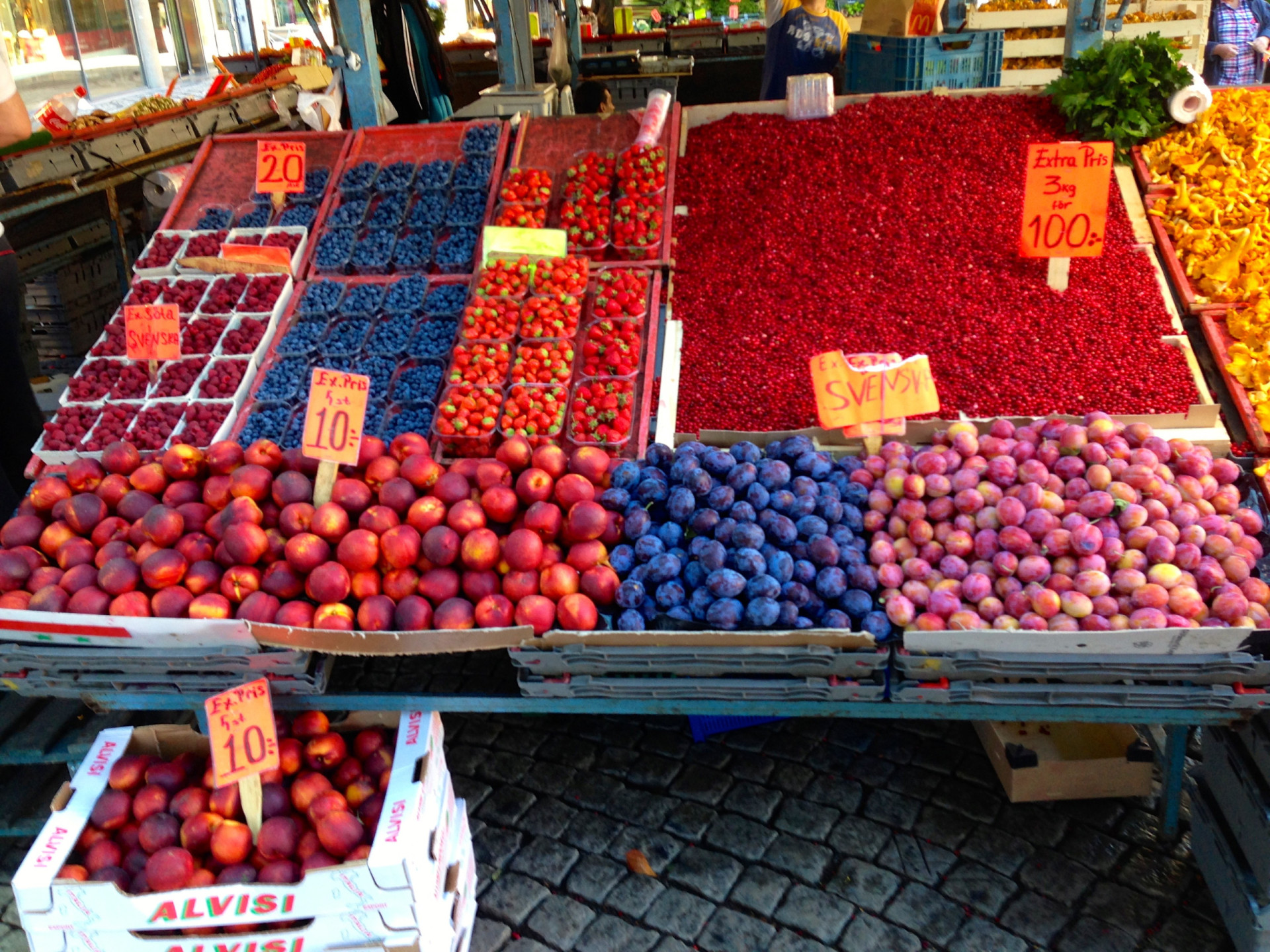 Antioxidanter i frukt och blommor kan motverka skadliga effekter av ...