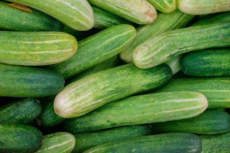 Cucumber recalls expand again amid salmonella outbreak: See list