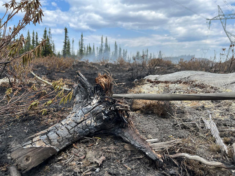 Emergency crews continue to fight wildfire east of Churchill Falls
