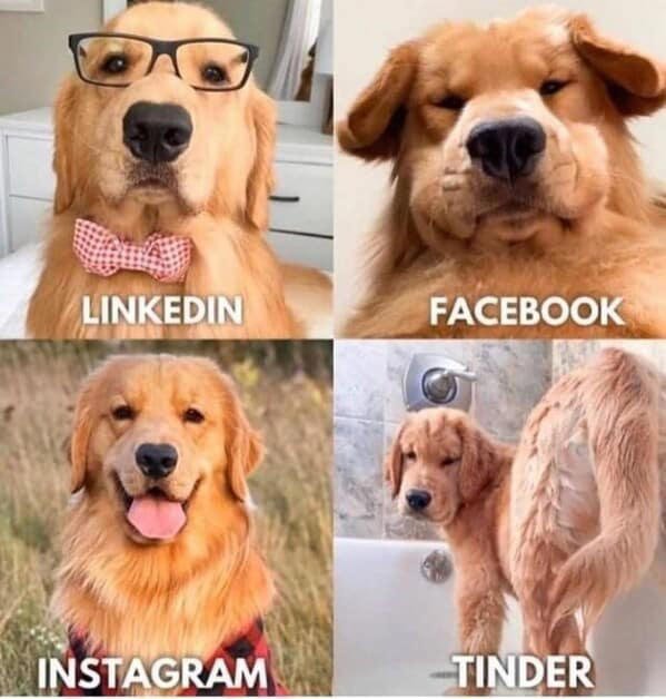 35 Funny Dog Memes That’ll Have You Howling With Laughter (May 29, 2025)