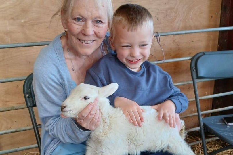 89 people fall ill after visiting to Welsh attraction