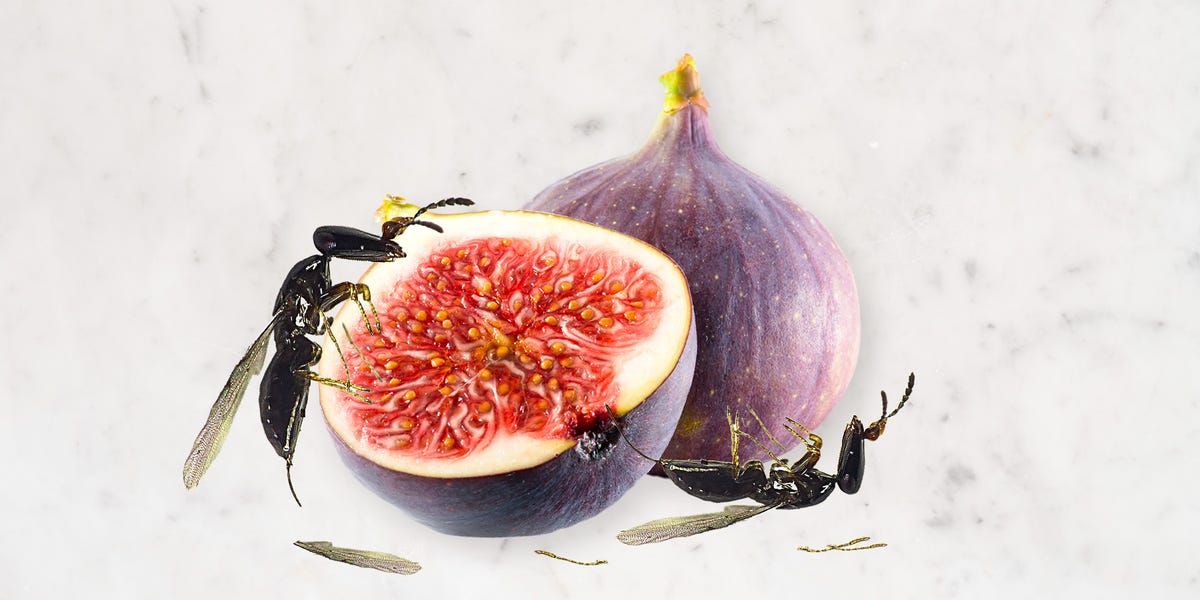 Are Figs Vegan? The Surprising Truth About Wasps In This Fruit