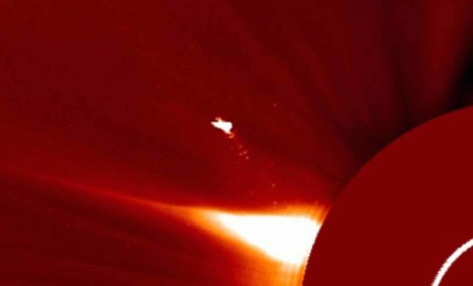 They Captured a Giant ‘Bird’ Near the Sun… Scientists Are Still Trying ...