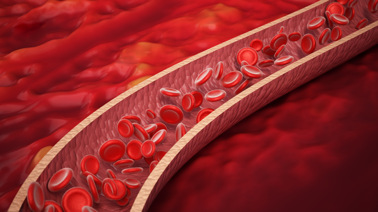 How the human body replaces itself over time and why it doesn’t always ...