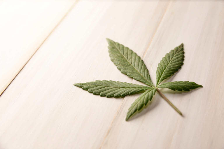 Canopy Growth Q4 Preview: What to expect?