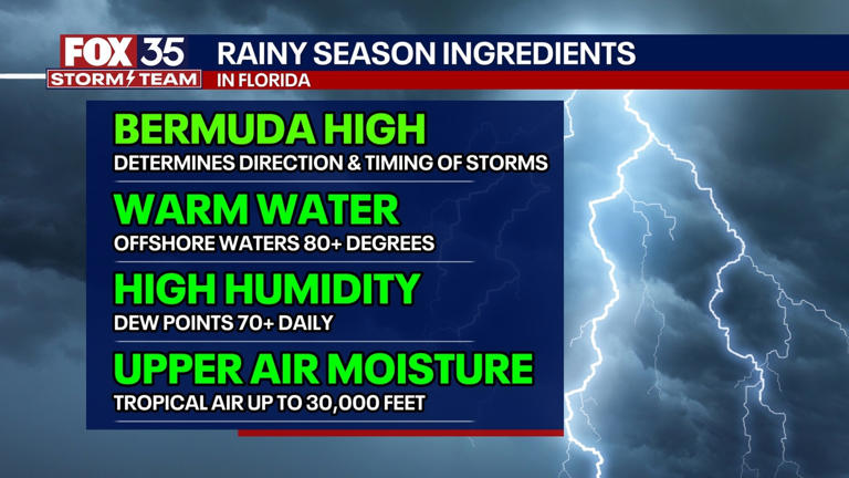 Florida rainy season: When does it start and end? Why does it rain in the afternoon?