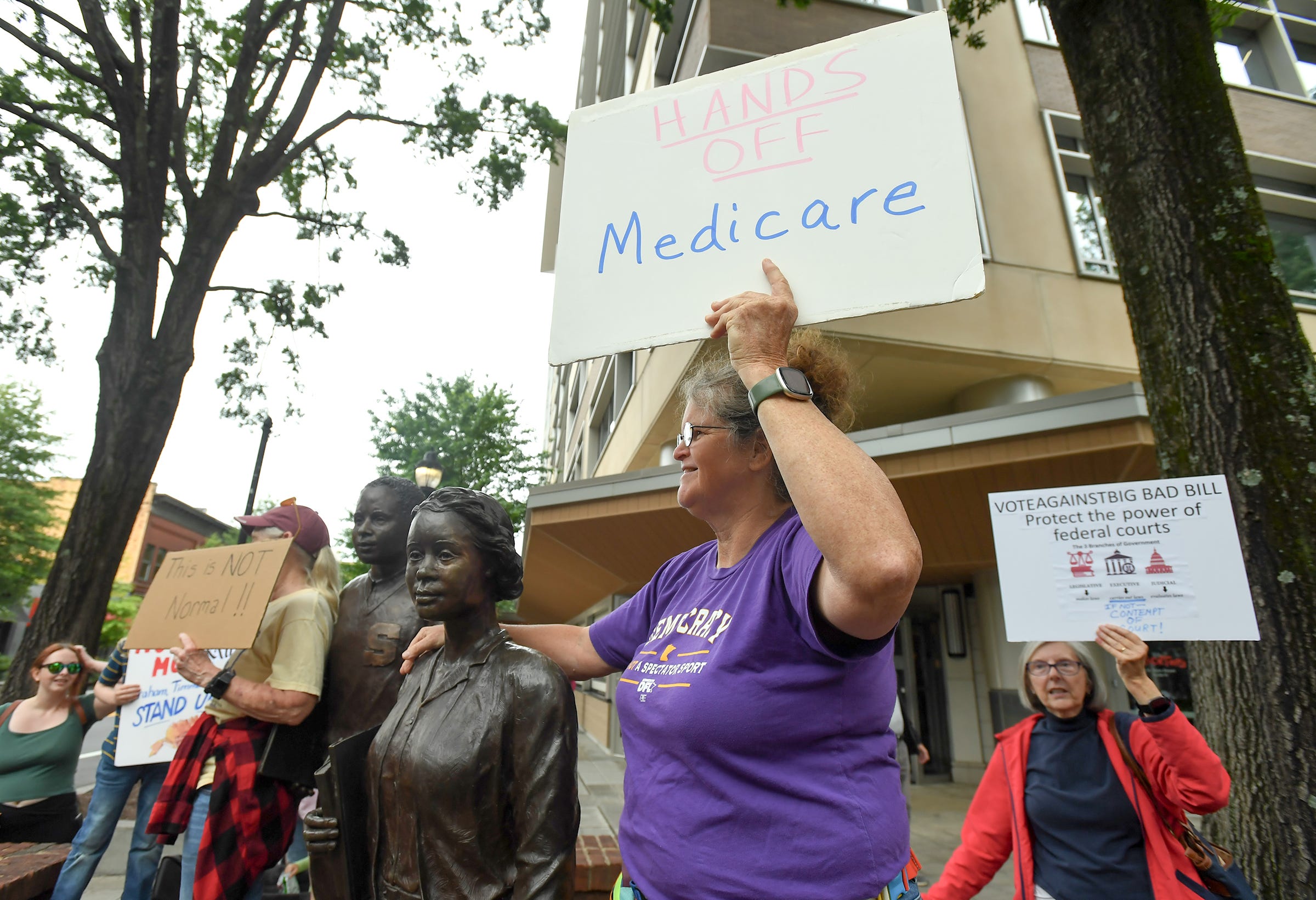 What is a 'No Kings' protest? Protests in SC on Trump's birthday and ...