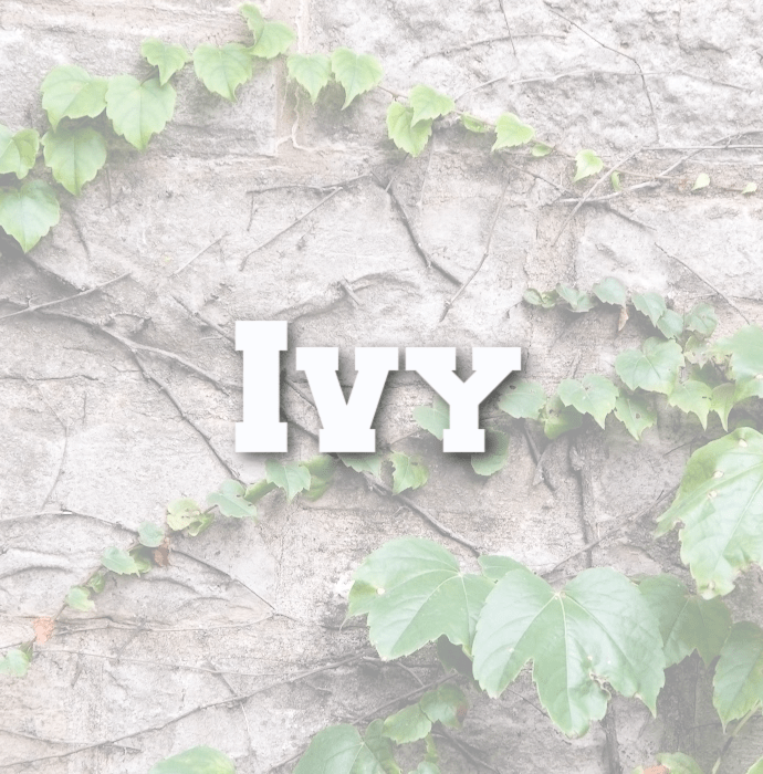 30+ Baby Names With Ivy League Vibes - No Degree Required