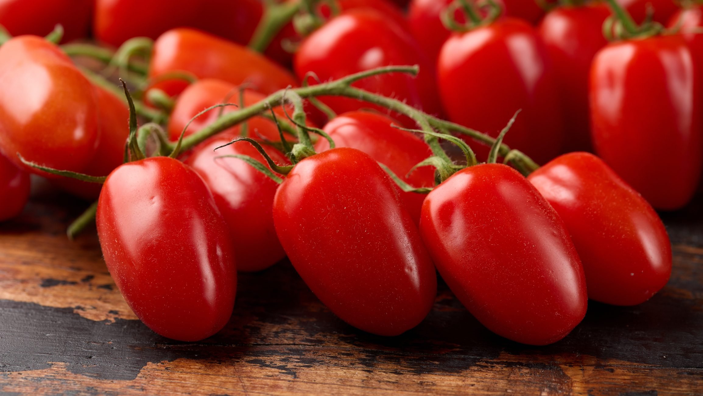 Top 10 Best Tomato Varieties to Grow