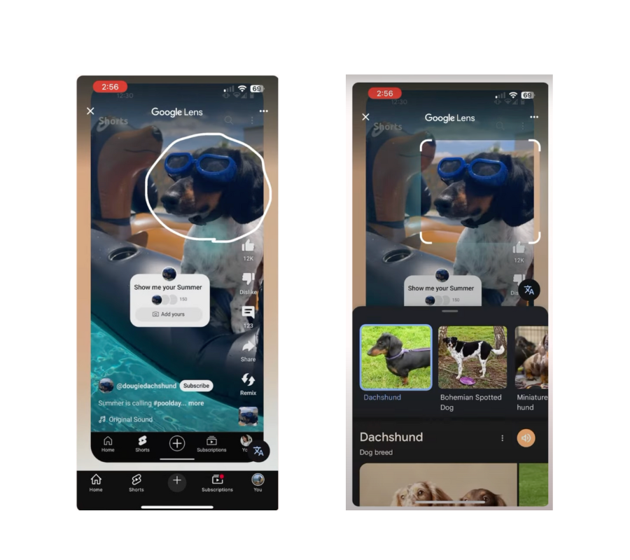 YouTube will let you search for things you see in Shorts