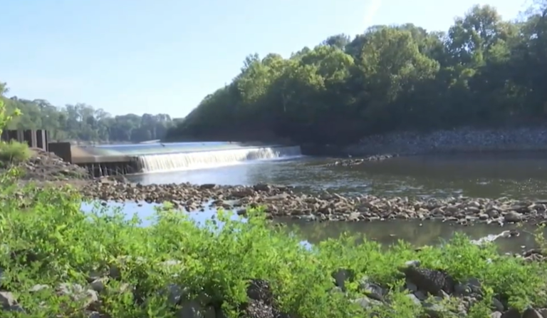MDEQ issues warning for Pearl River algal bloom