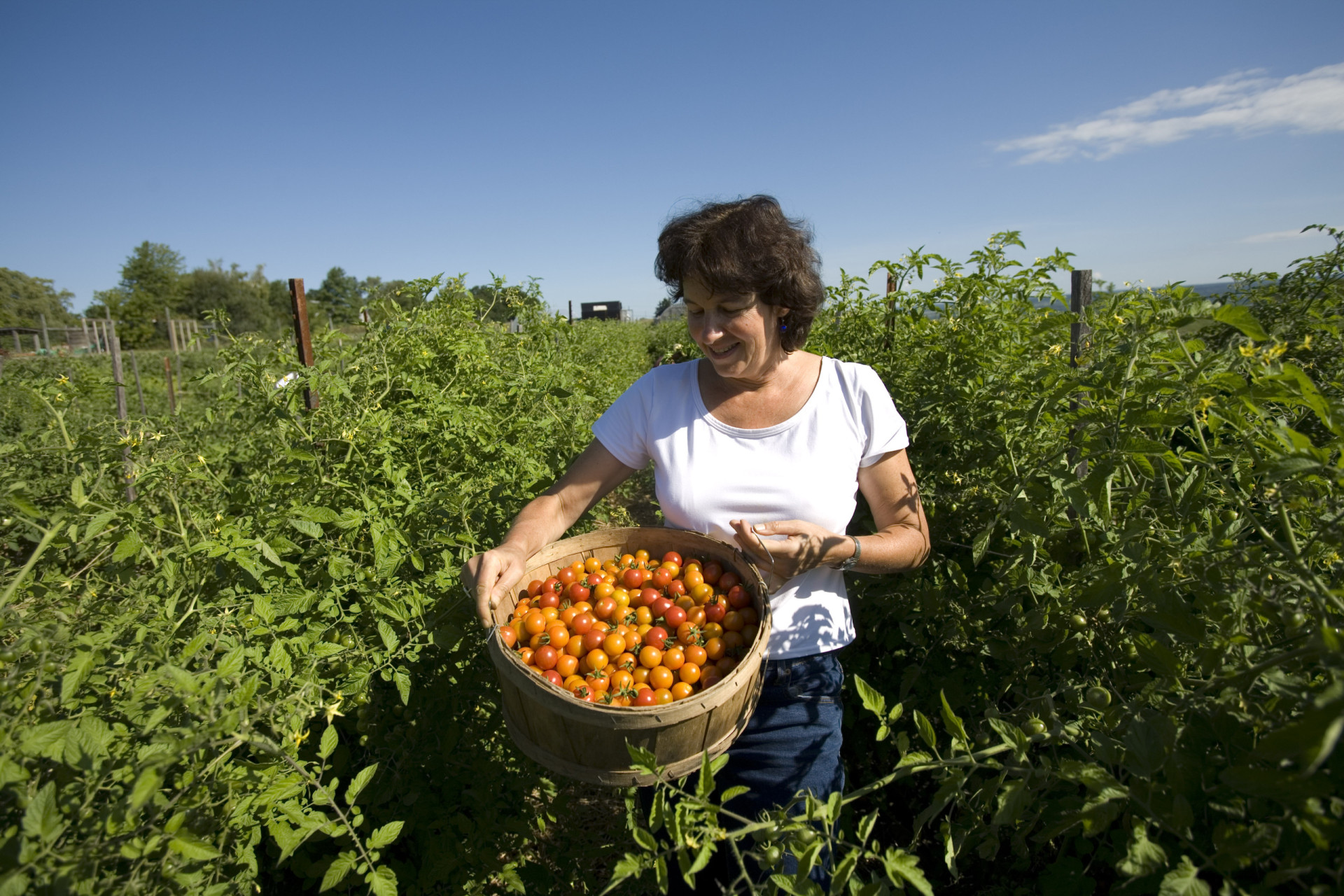 How your food choices can help save the planet