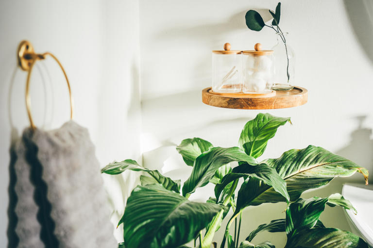 Beauty Routine & Design Style