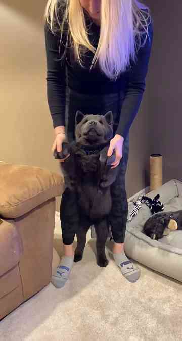 Baby Brax Being Extra Clingy to Dad — Too Cute to Handle!