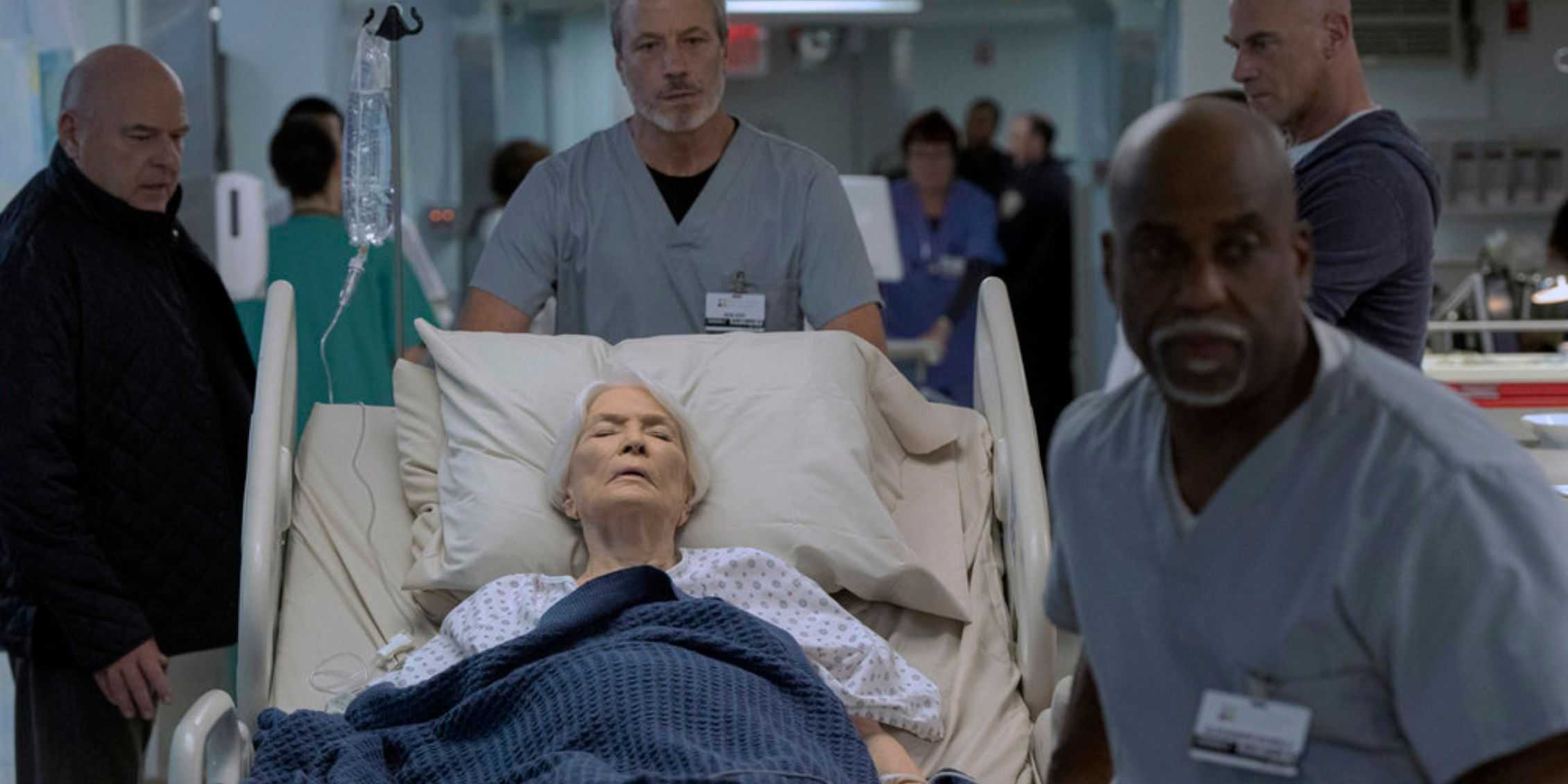 Law & Order: Organized Crime Season 5's Downgrade Highlights How ...