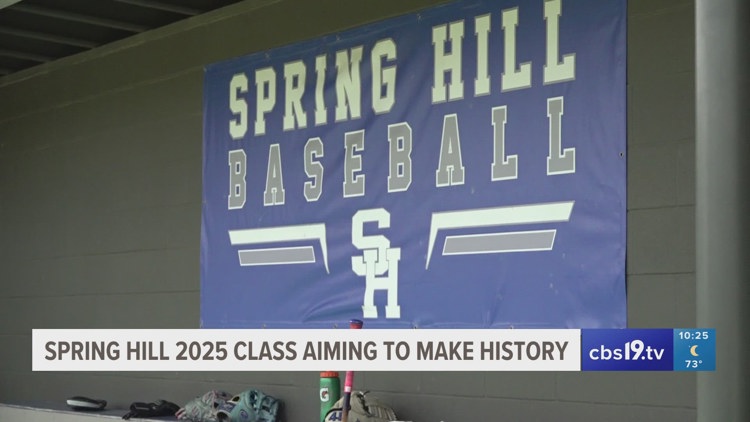 Spring Hill Panthers defeat Brock Eagles in game 1 of state baseball ...