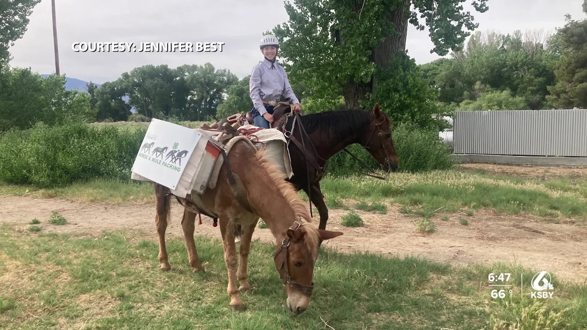 Local 4H group preparing for first horse and mule packing trip