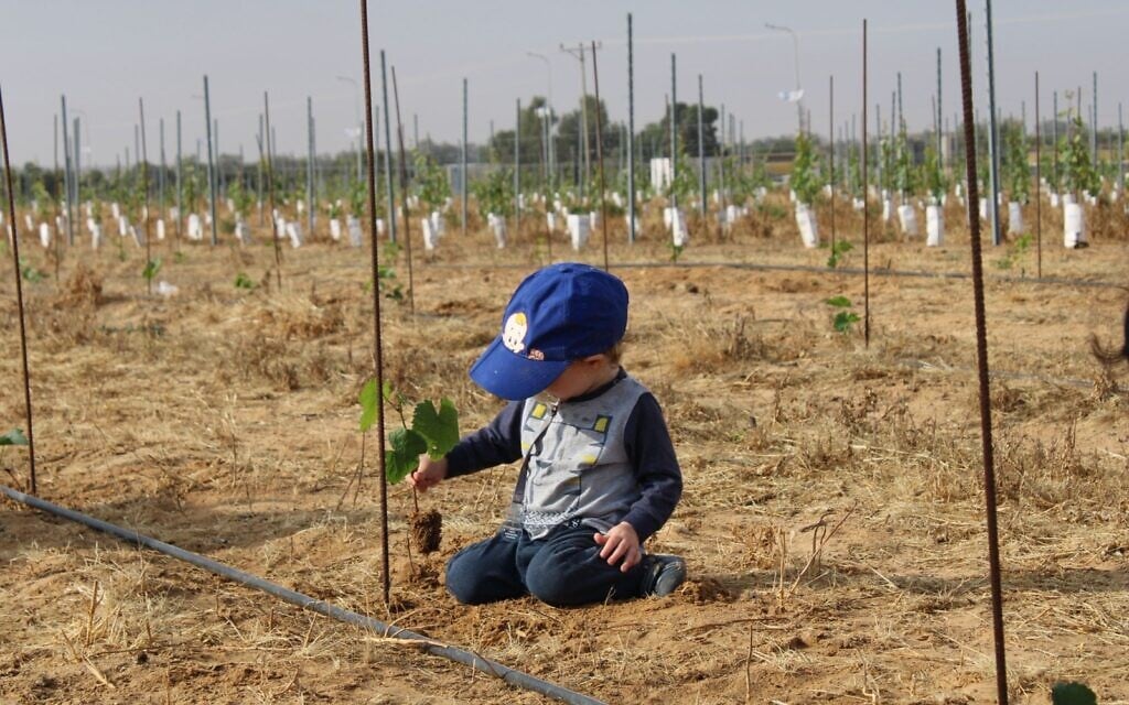 Looking to slow life down and join a kibbutz? It’ll cost you