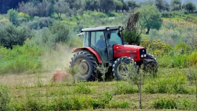 ΟΠΕΚΕΠΕ: Σήμερα οι πληρωμές συνδεδεμένων ενισχύσεων - Ποιους αγρότες ...