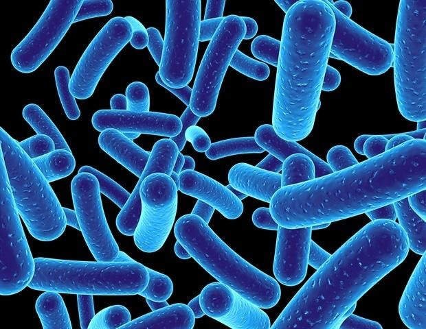 Gut Microbiome Offers Clues to Detecting and Treating Gastrointestinal ...