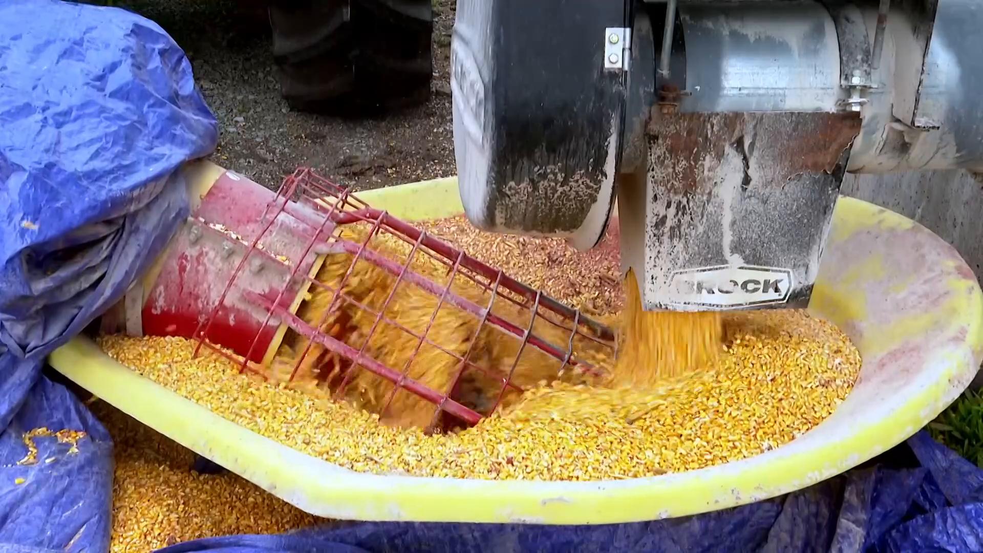 Indiana farmer faces uncertainty as U.S.-China 90-day tariff pause set ...