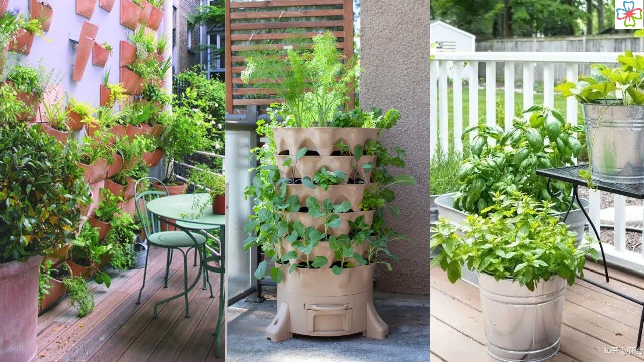 6 Types Of Urban Herb Gardens That Need No Space