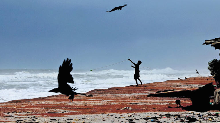 Centre plans to fix ship lifespan after Kerala wreck; MSC told to set ...