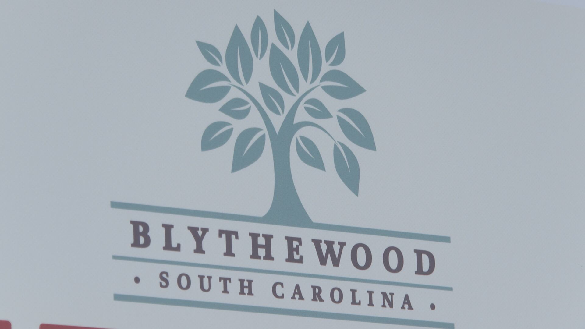 Blythewood mayor to call for investigation into allegations of ...