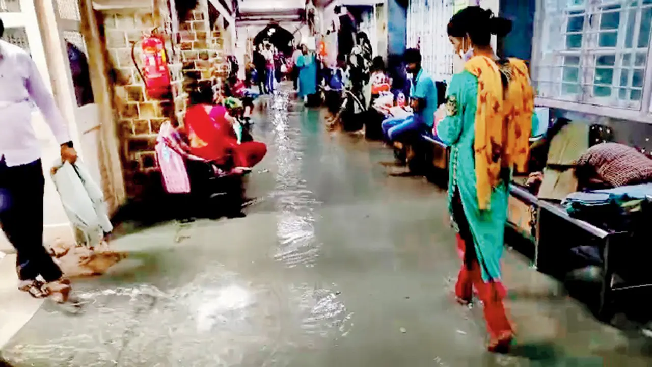 Bombay HC slams BMC-run KEM hospital over waterlogging during Mumbai rains