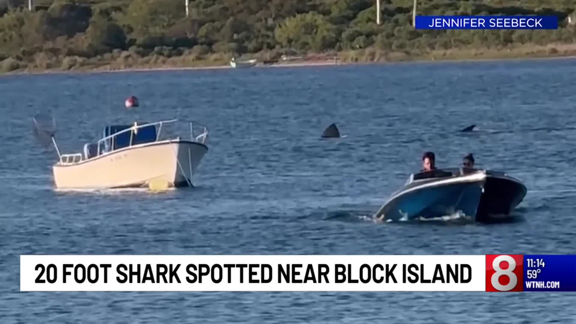 VIDEO: 20-foot shark spotted in Rhode Island