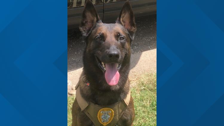 Waco K9 Officer Andor in stable condition, according to his handler