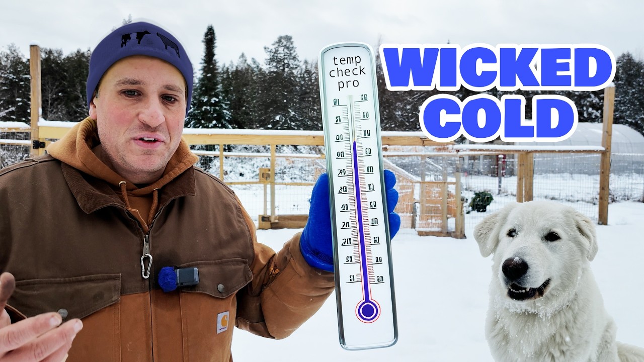 Farming continues in sub-zero temperatures at Vermont homestead