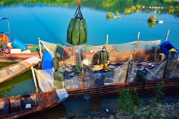 The most biodiverse countries in the world