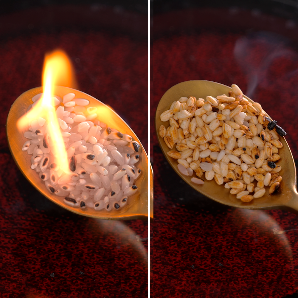 Real vs. Fake Food Showdown: What’s on Your Plate? 🥳