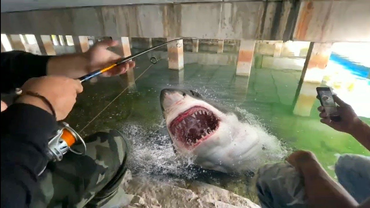 We Teamed Up with Gypsy Fishing Channel – And Landed Monsters