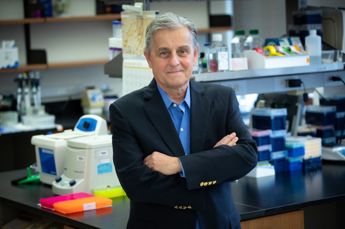 I’m a neuroscientist – these are the four things I do daily to fight ...