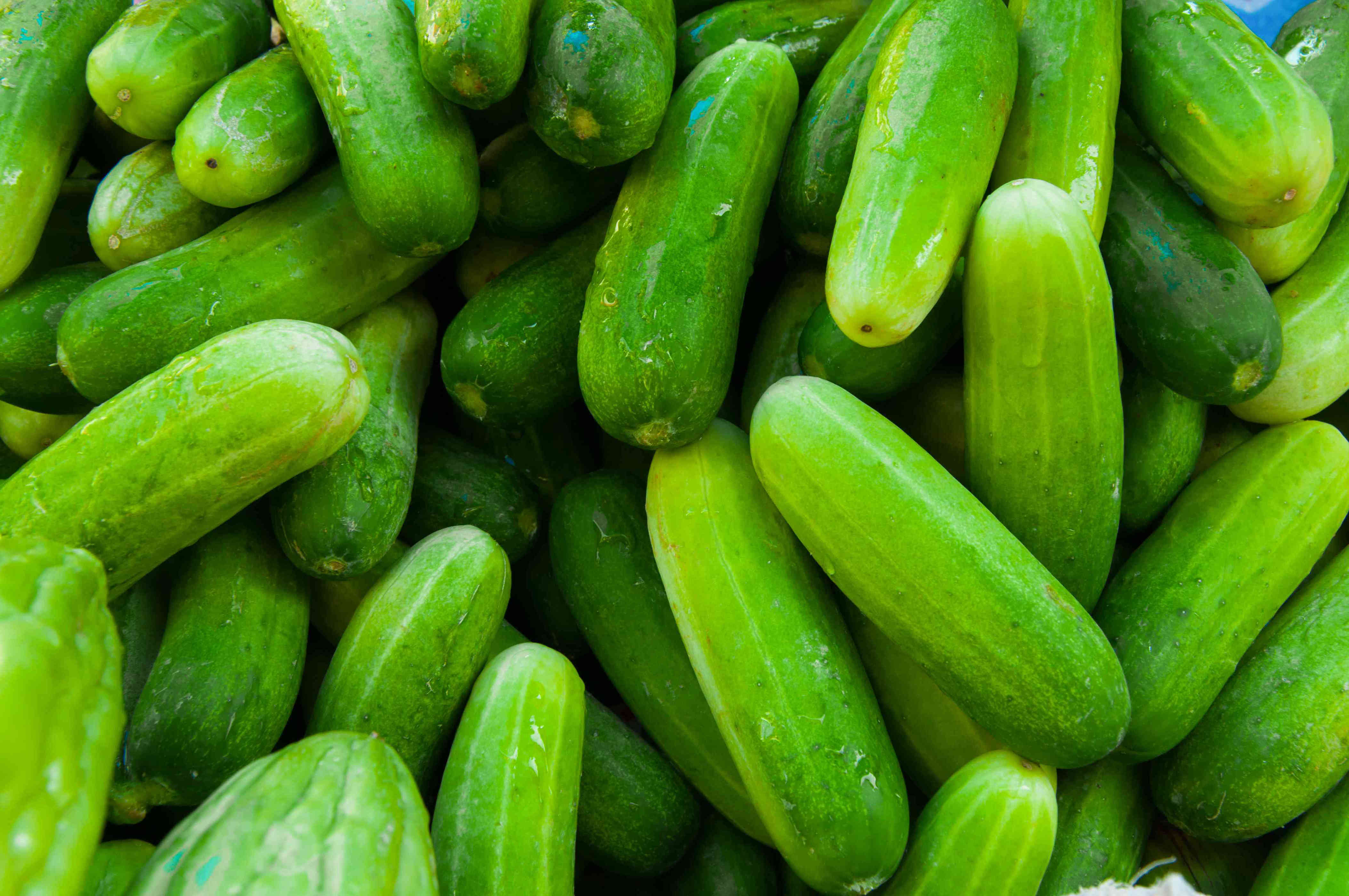 The Best Way to Store Cucumbers, According to an Expert